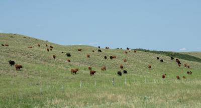 2021 Nebraska Grazing Conference | News | feedlotmagazine.com
