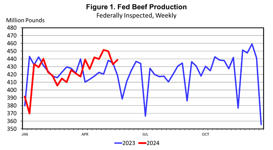 Fed Beef Production Steady; Nonfed Beef Production Down in 2024 ...