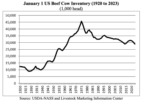 January 1 Beef Cow Numbers Decline 3.6% | Industry News ...