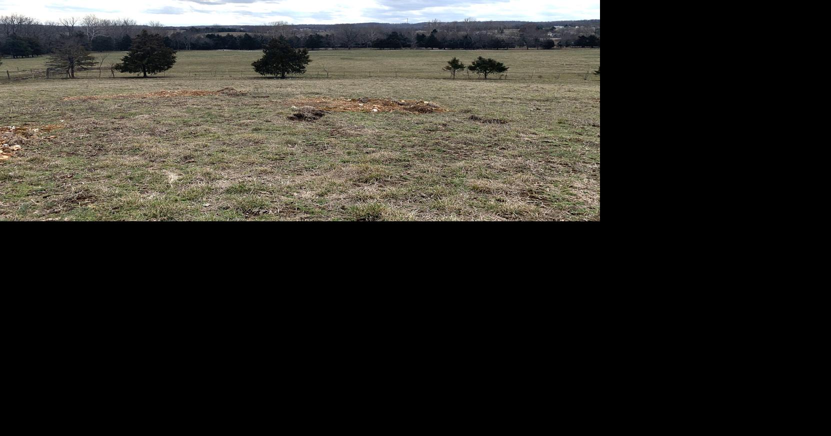 Get Back to the Basics on Post-Drought Pastures | Management ...