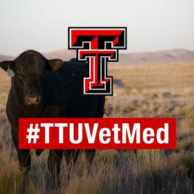 Leading Pharmaceutical Company Launches New Scholarship Program for ...