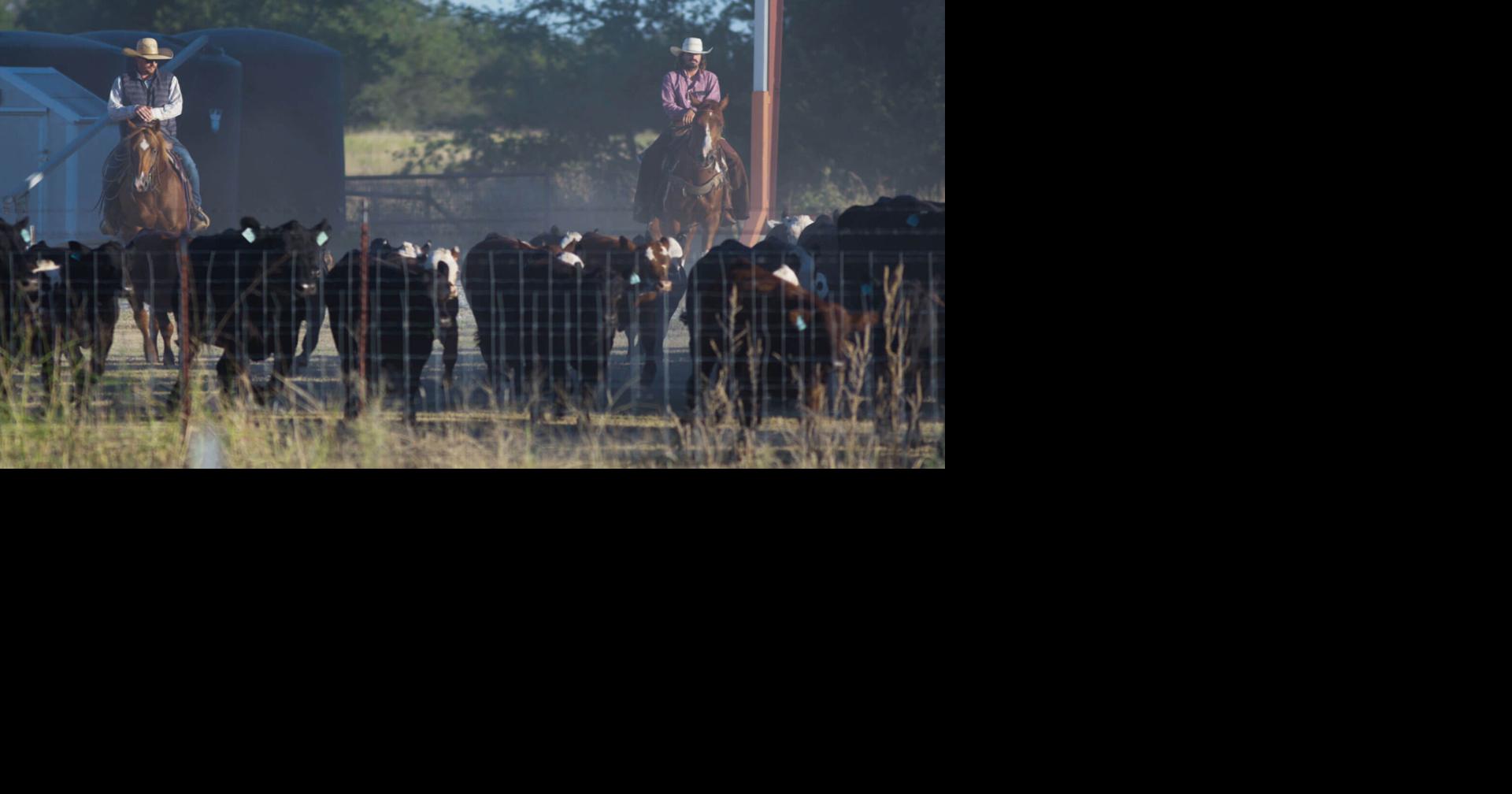 New Docuseries Details Impact of Applying Soil Health Principles to ...