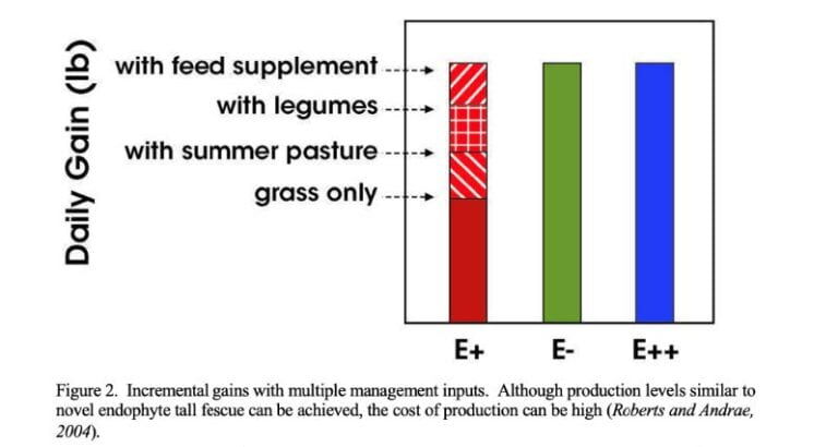 Toxic Tall Fescue : Recommendations and Reality | Management ...