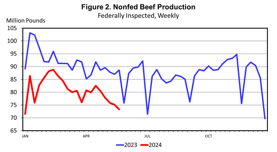 Fed Beef Production Steady; Nonfed Beef Production Down in 2024 ...