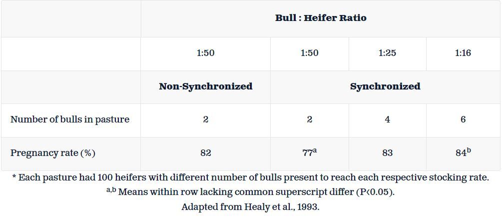 How Many Bulls Do You Need When Synchronizing With Natural Service ...