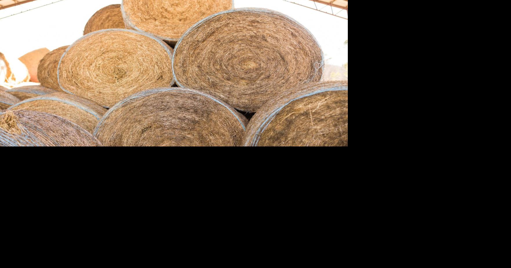 Proper Hay Storage | Management | feedlotmagazine.com