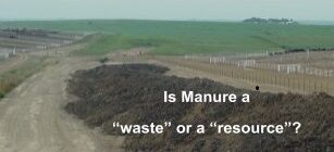 Manure: Waste or Valuable Agricultural Resource? | Management ...