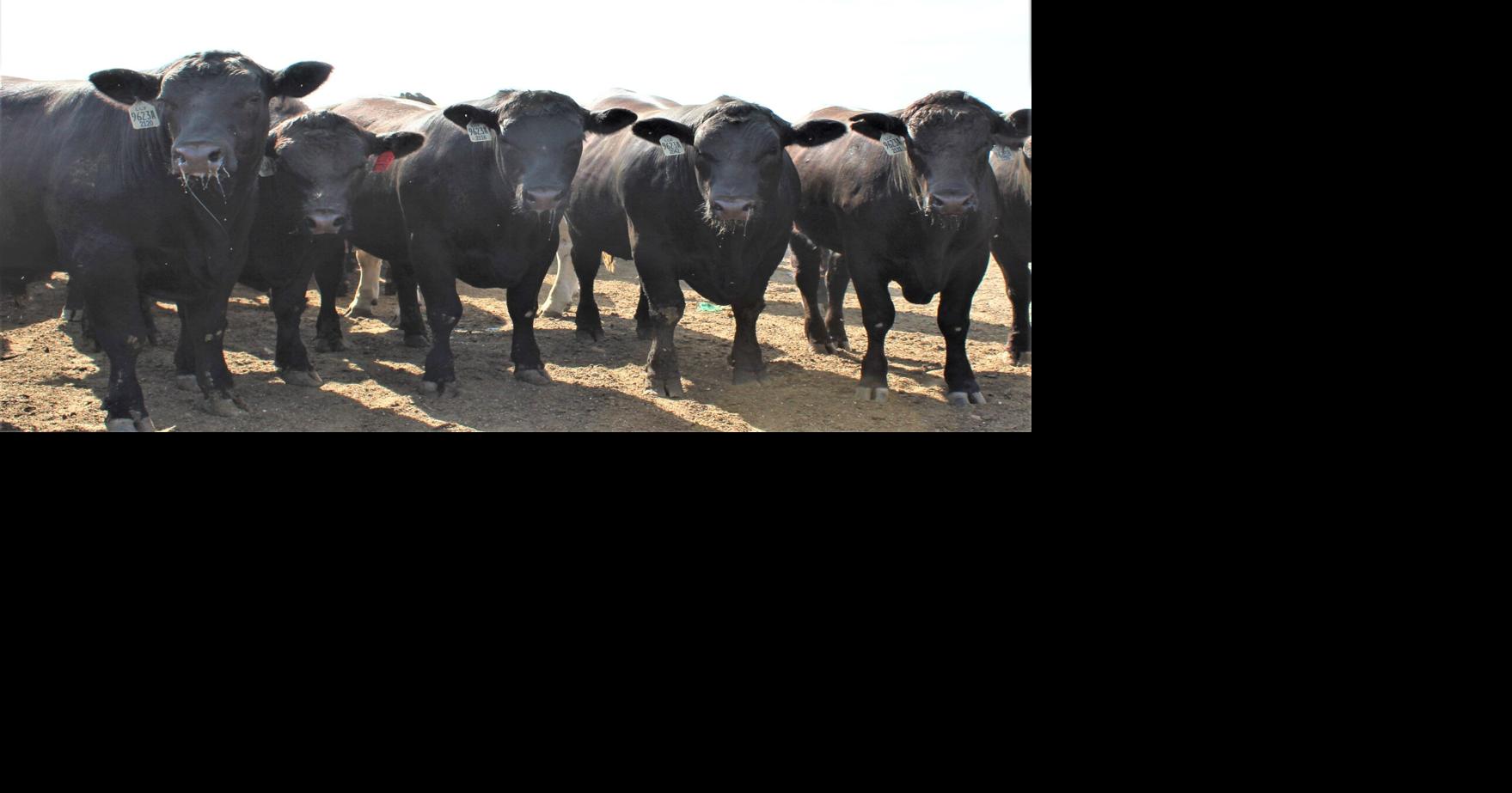 Extreme Temperature Swing, Heat and Humidity to Blame for Significant ...