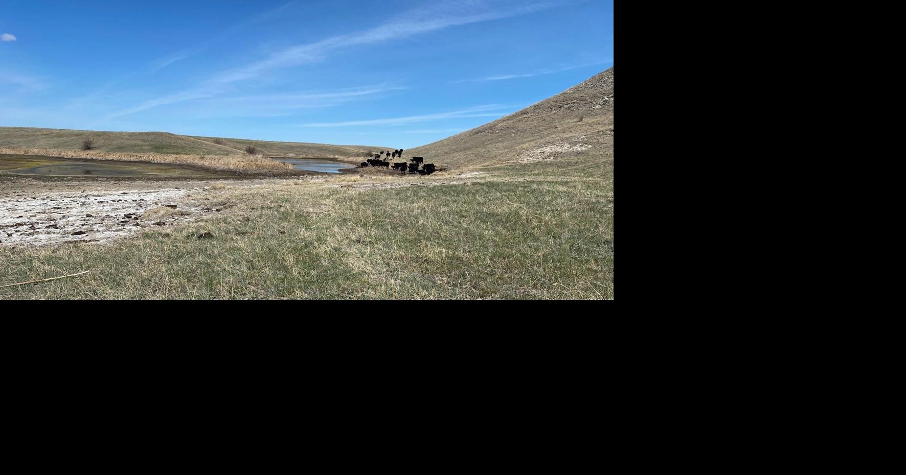 Drought Relief Programs Webinar Set | News | feedlotmagazine.com