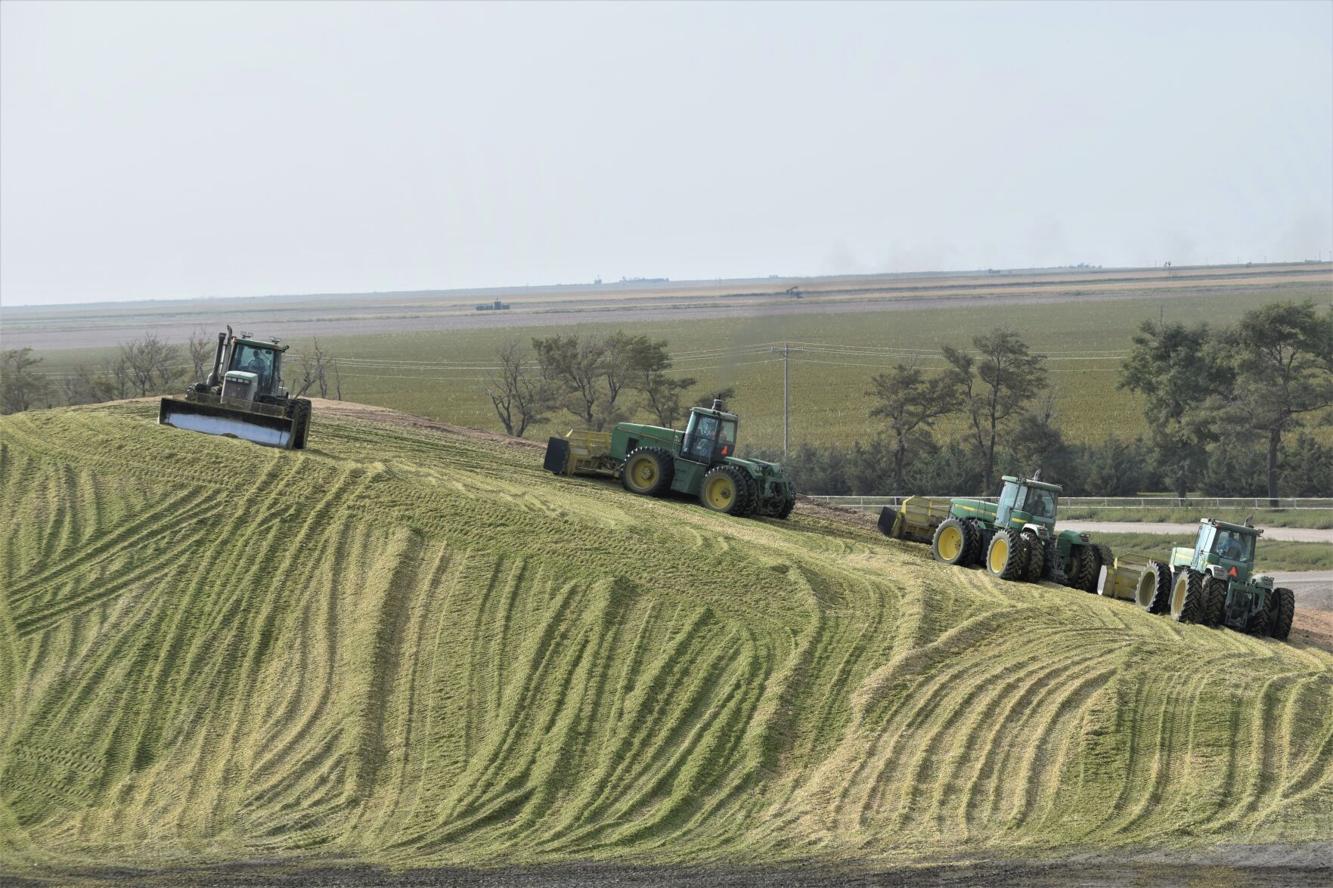 Proper Packing of Bagged Silage for Best Results | Management ...