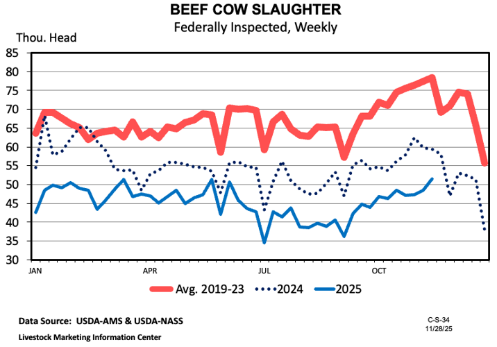 Beef Cow Slaughter this Fall is Down 19% | Industry News ...