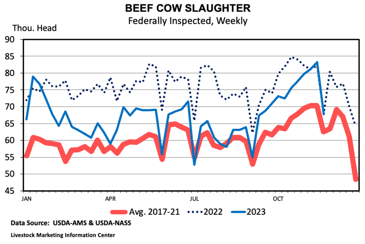 Beef Cow Slaughter and Cow Culling Trends | Industry News ...