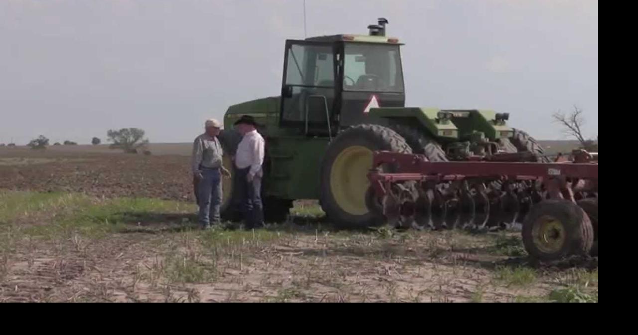 Angus VNR: Birth of a grid | News | feedlotmagazine.com