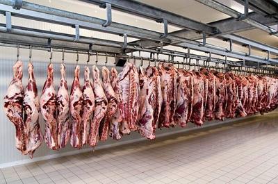 Beef Export Value Grows With Focus On Selling Whole Carcass | Beef News ...