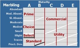 Retained Ownership? – Part 3 Beef Quality Grades | Feedlot Special ...