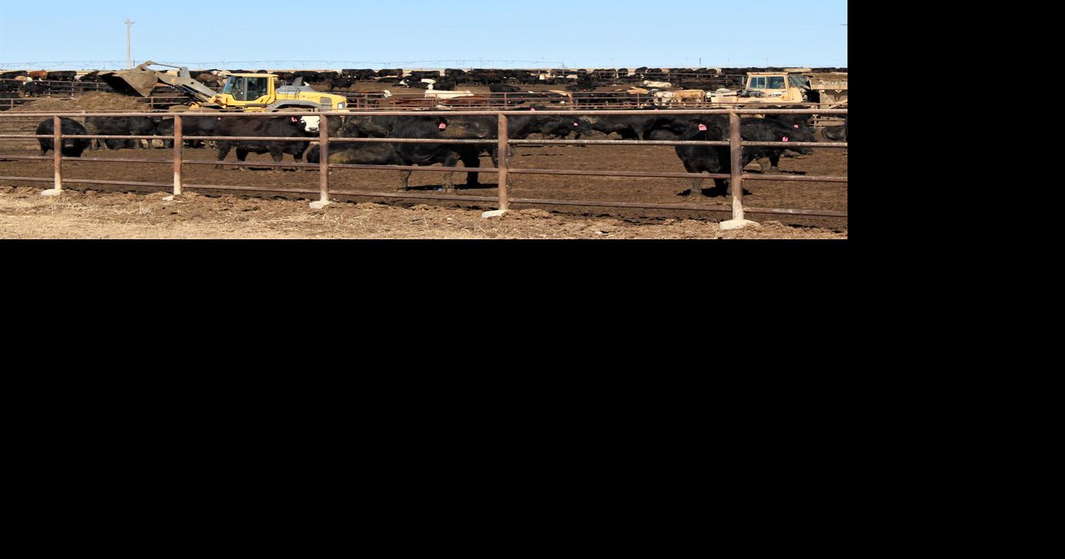 Hauling Pen-Pack Manure | Feedlot Special | feedlotmagazine.com