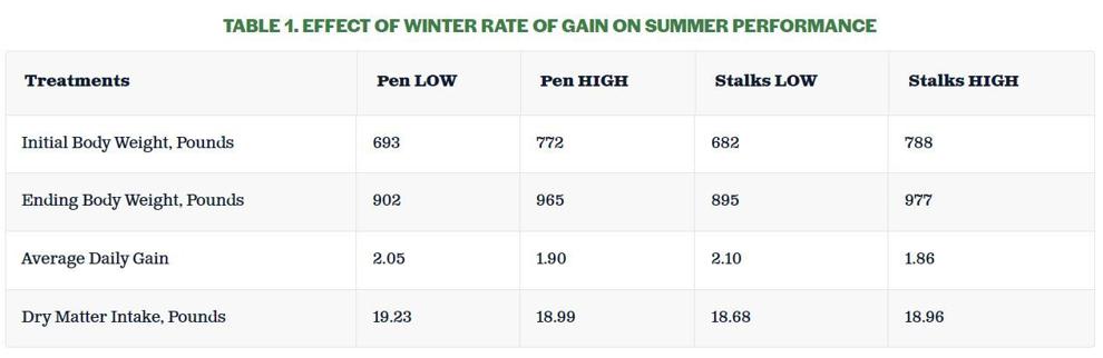 Backgrounding at Different Rates of Gain | Stocker Special ...