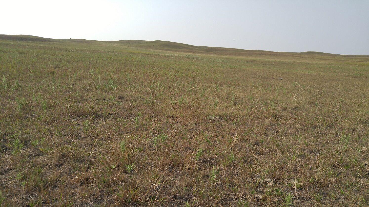 Flexible Leases, Price Risk Management Can Offer Relief Amid Poor ...