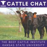 Beef Carcass Yield Grades: What Do They Mean and How Are They ...