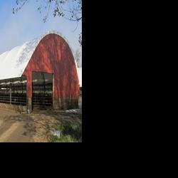 Management Considerations for Cattle Confinement Facilities ...