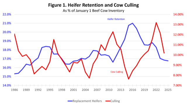Beef Herd Dynamics: What’s Possible in 2025? | Industry News ...