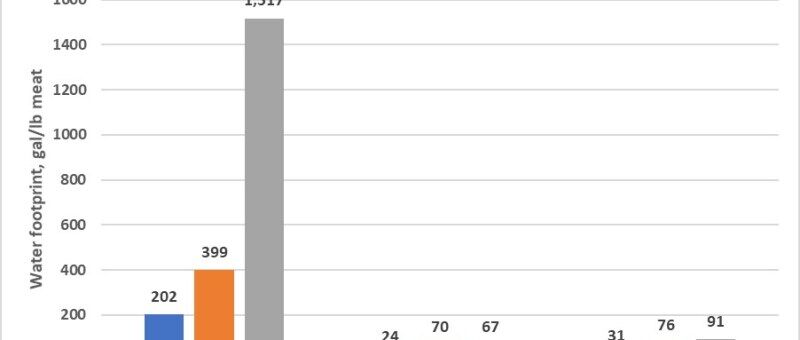 Does Beef Production Really Use That Much Water? | Beef News ...