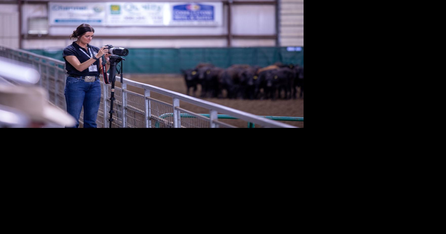 High-Quality Beef and Experiences Promised with Summer Internship ...