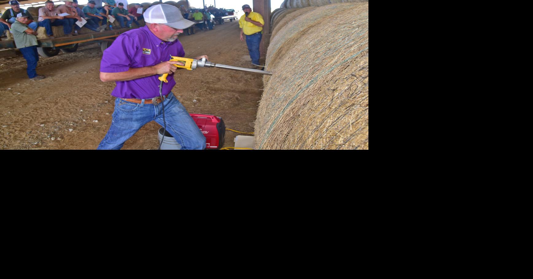 Feeding quality hay can reduce waste | Management | feedlotmagazine.com