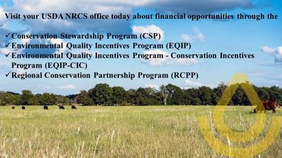 NRCS Announces Conservation Assistance Funding for FY2023 | Industry ...