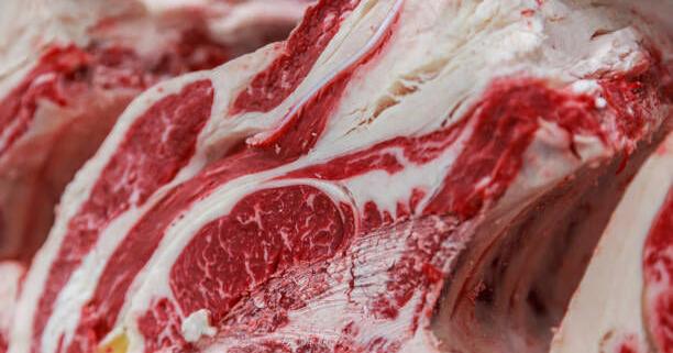 Beef Exports Update | Beef News | feedlotmagazine.com