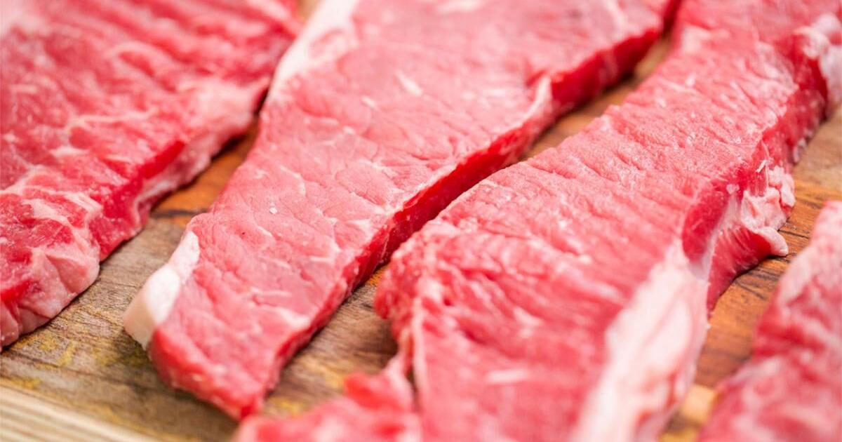 Backgrounding Beef Calves on Cover Crops May Improve Steak Tenderness ...