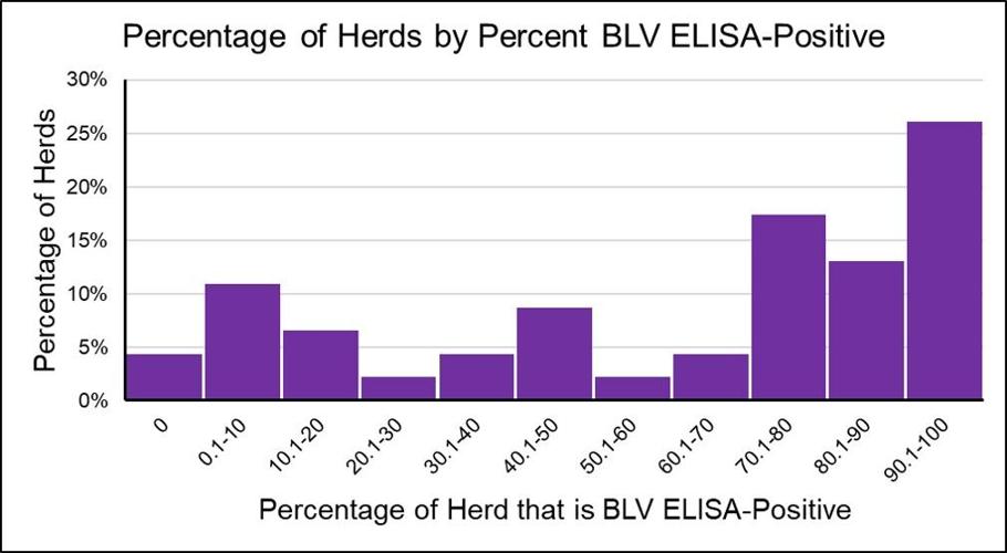 K-State Researchers Study Bovine Leukemia Virus in Beef Cows | Cow/Calf ...