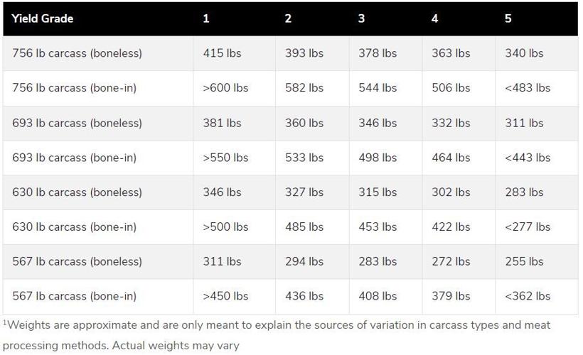 Understanding Beef Carcass Yields and Losses During Processing | Beef News | feedlotmagazine.com