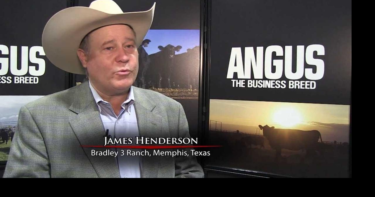 Angus VNR: Marbling and reproduction go hand-in-hand | News ...