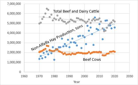 Improving Hay Feeding Efficiency | Management | feedlotmagazine.com