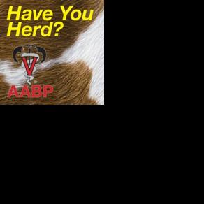 When to Assist with the Calving Process – the Three Stages of ...