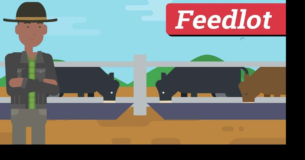 Feedlot Checkoff Collections | Multimedia | feedlotmagazine.com