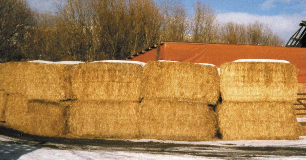 Creative Options to Tackle Winter Weather | Cow/Calf Corner ...