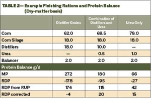 Navigating Protein Nutrition and By-products for Beef Cattle ...