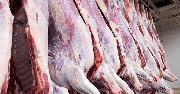 Meat Science : USDA Inspection v. Grading- What’s the Beef? | Beef News ...