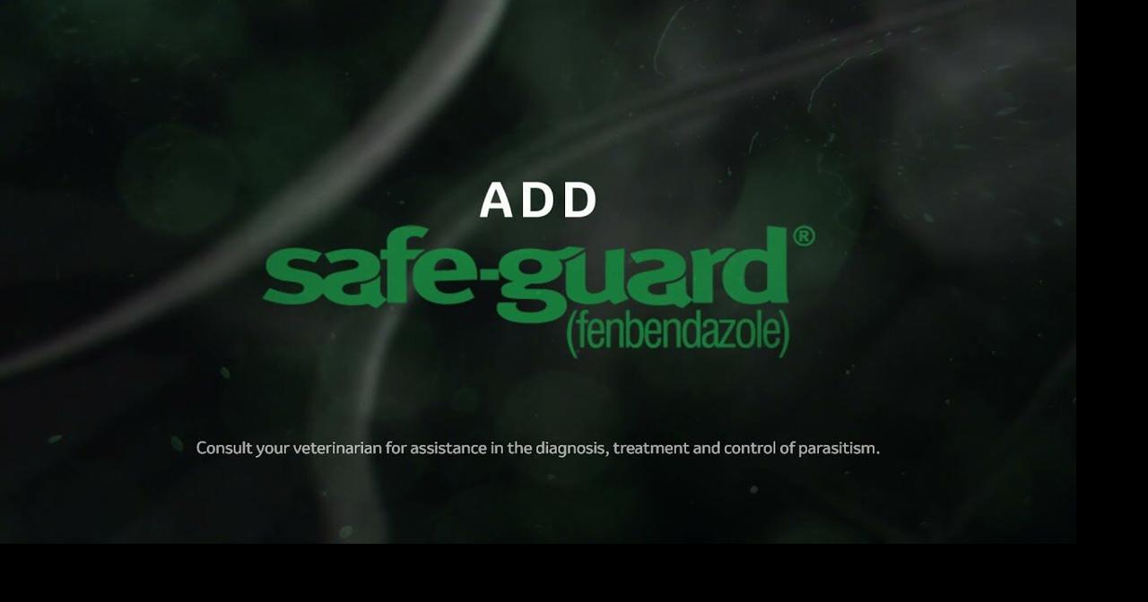 Merck - Safe-Guard | Multimedia | feedlotmagazine.com
