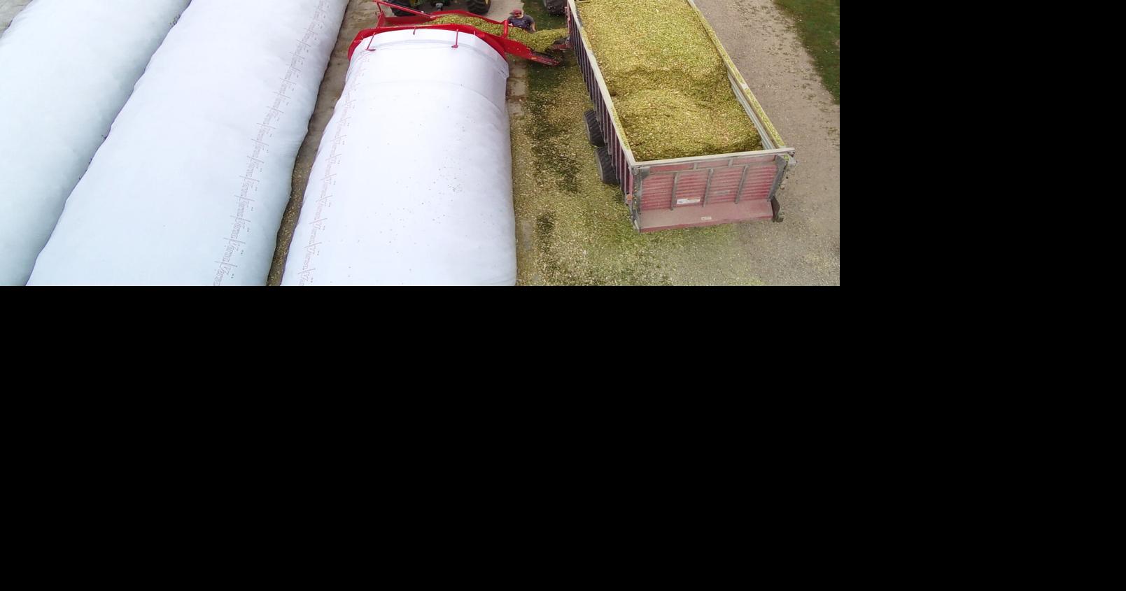 Bagged Silage: A Vital Tool for Feed Management | Management ...