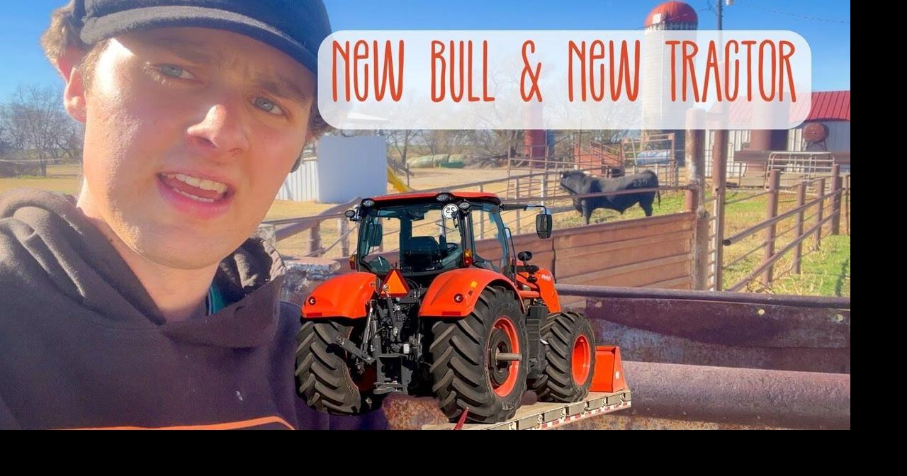 Kendal Goes To A Bull Sale | Multimedia | feedlotmagazine.com