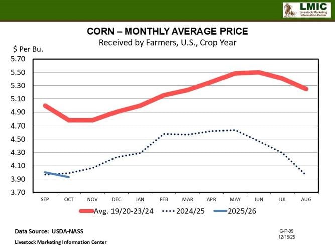 Record-Setting Corn Exports Support Improving Corn Price Outlook ...