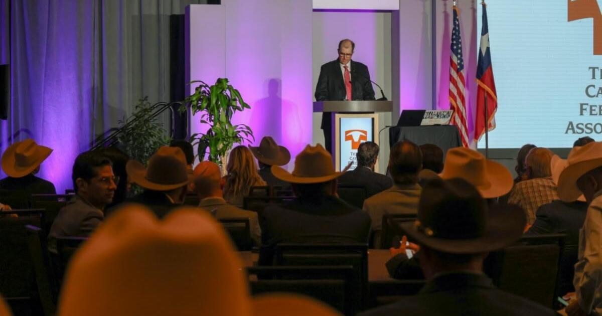 2024 TCFA Annual Convention: Chairman Gene Lowrey Addresses Cattle Feeders | Beef News ...