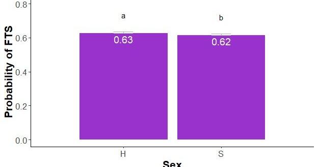 Sex Metrics With First Treatment Success Feedlot Special