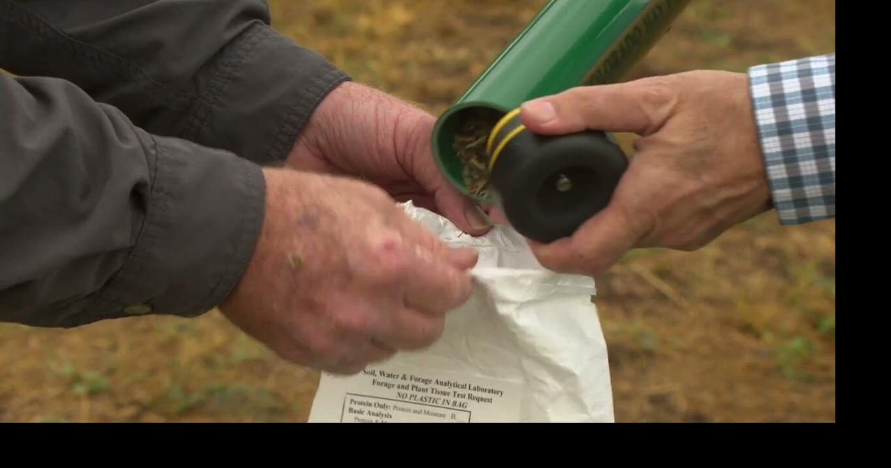 New Forage Fact Sheet? | Multimedia | feedlotmagazine.com