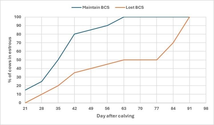 Maintaining or Gaining Weight Post-Calving is Essential to Minimize ...