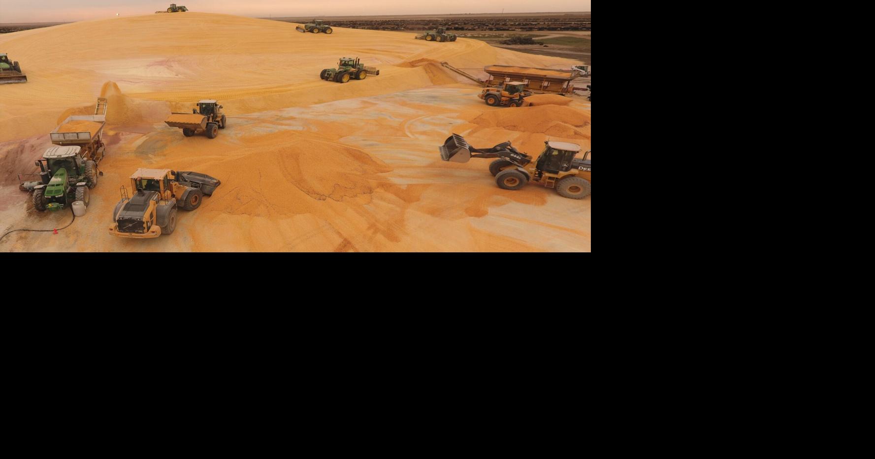 Impact of Different Corn Milling Methods for High-Moisture and Dry Corn ...