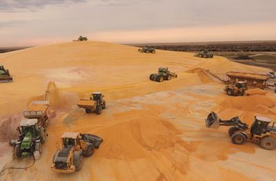 Impact of Different Corn Milling Methods for High-Moisture and Dry Corn ...